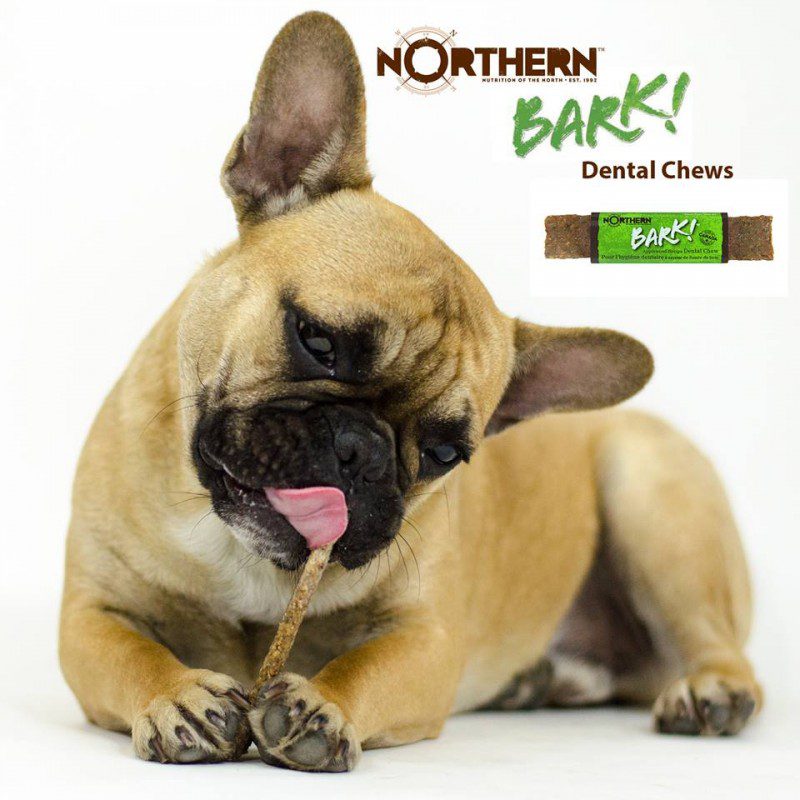 Bark Dog Chew - Biopaw