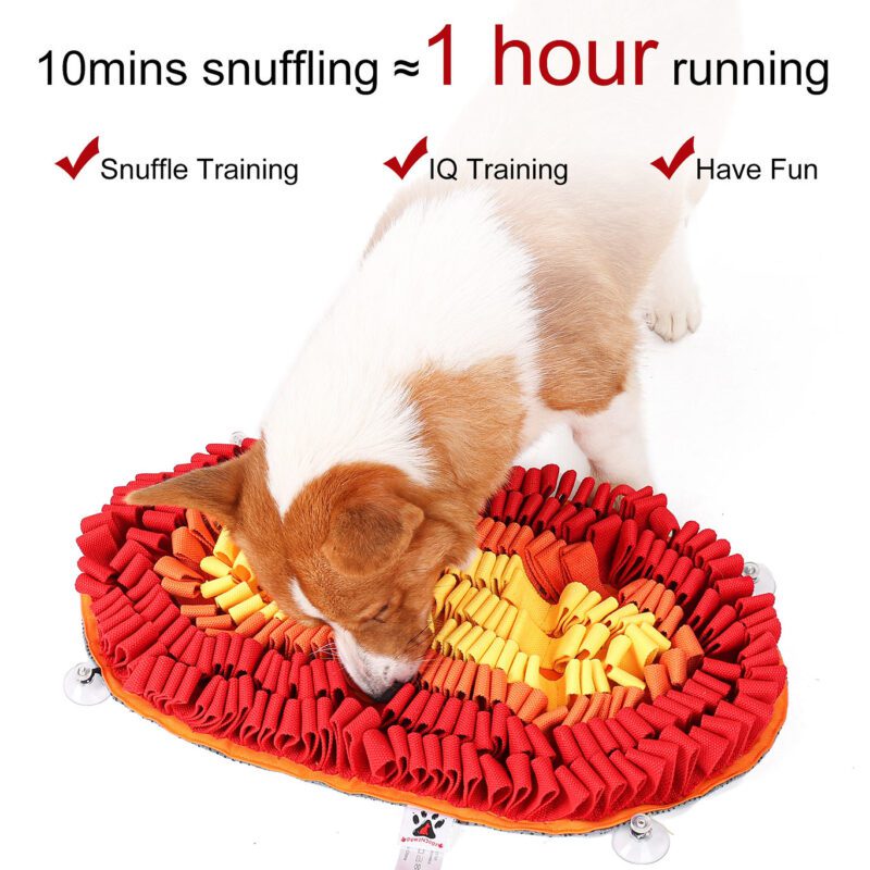 Pawzndogz Challenger Bone Snuffle Mat Level 4