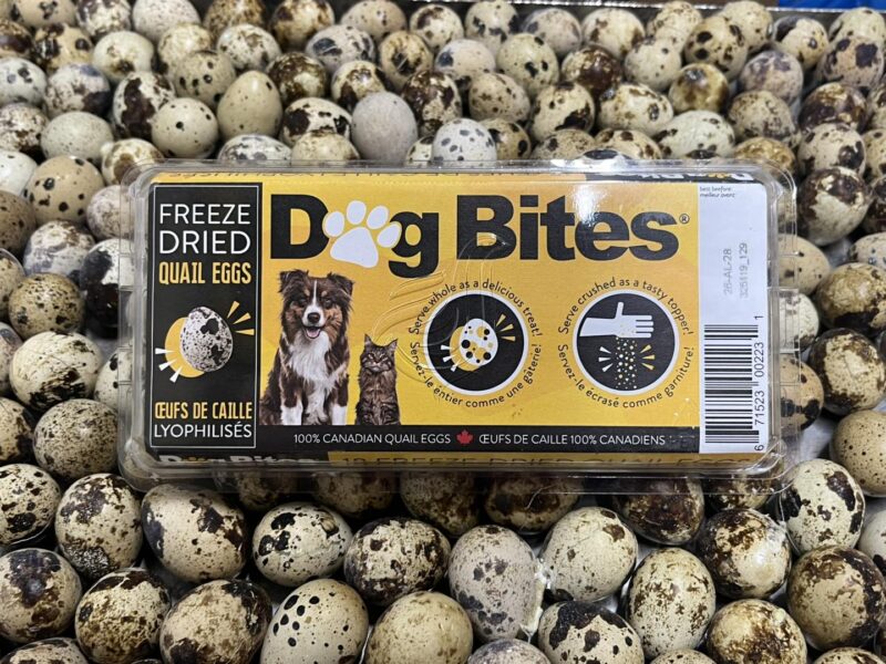 Dog Bites Quail Eggs Freeze-Dried Pet Treat & Meal Additive 18 Pack ...