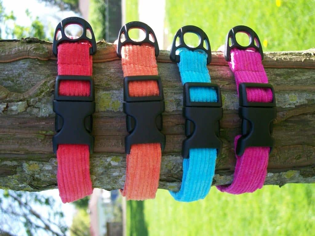 Collars & Leashes - Biopaw
